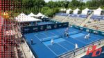Five Standardized Pickleball Rating Systems: Which To Use & Why ...